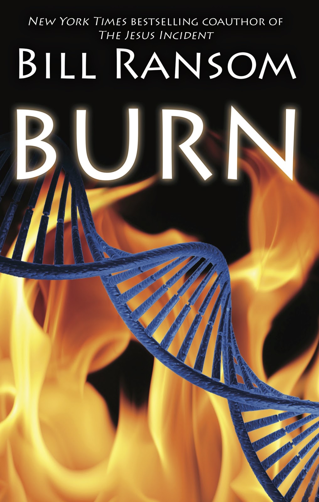 Burn – Bill Ransom Author